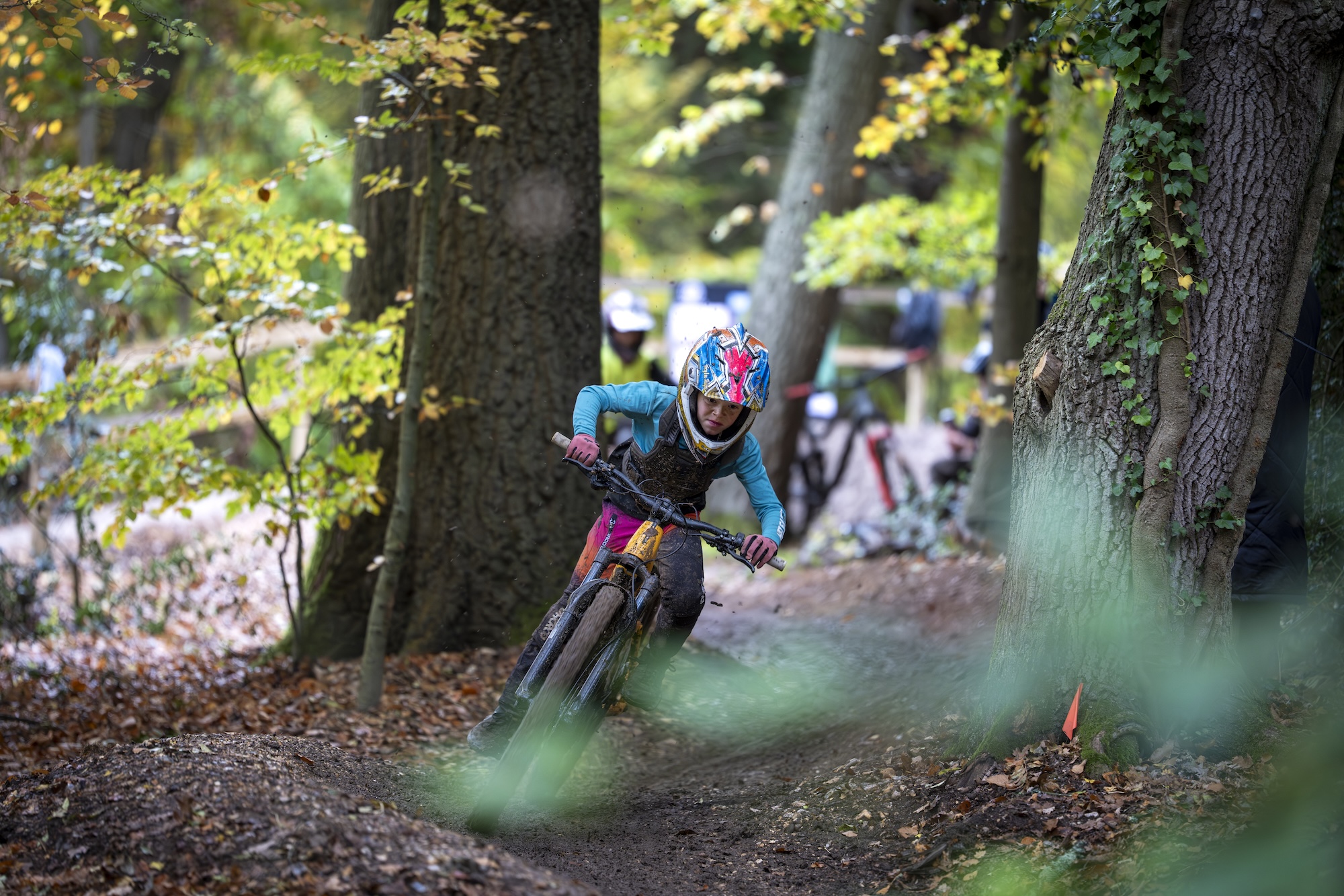 Whippy Trails – Whippendell Woods Bike Trails